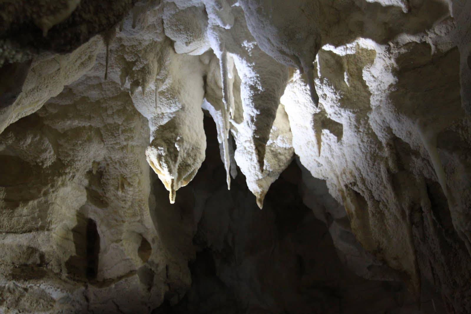 Waitomo Caves - Mobi Viaggi